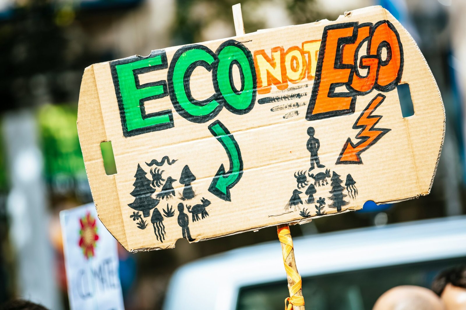 Eco-(Un)Friendly Products: Are These Sustainable Products Hurting The ...