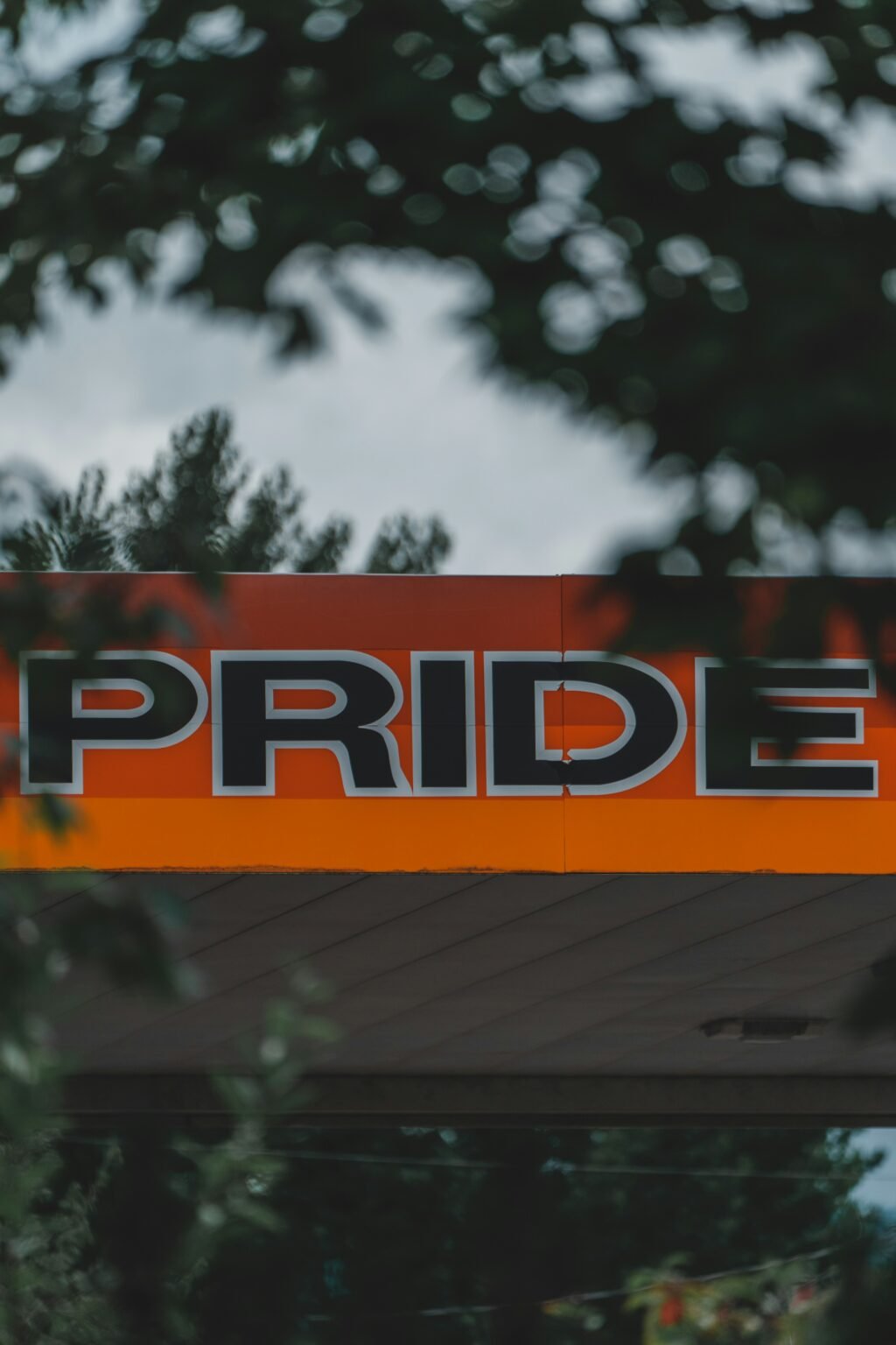 Pride And Privilege – Women's Republic